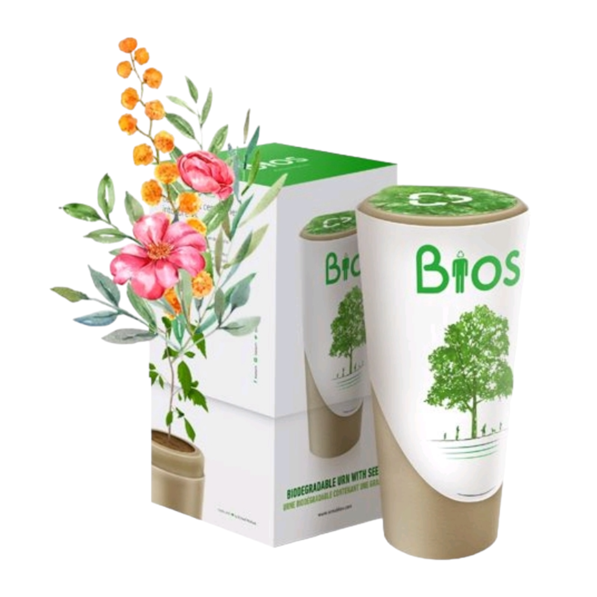 Bios Urn - Biodegradable Urn to Convert Ashes into a Tree – Urn Centre ...